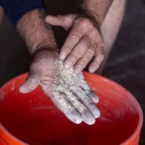 History of TN Whiskey - Tennessee Whiskey Trail Official Site