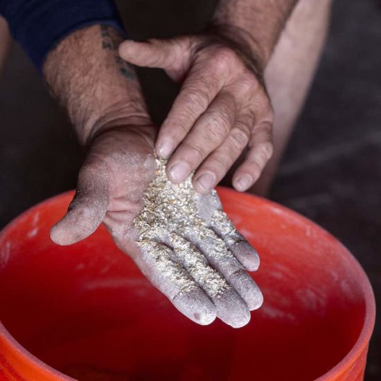 History of TN Whiskey - Tennessee Whiskey Trail Official Site